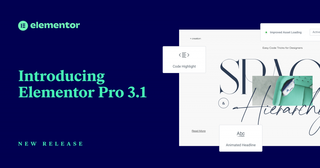 Introducing Elementor Pro 3.1: Custom Code, Performance Improvements ...