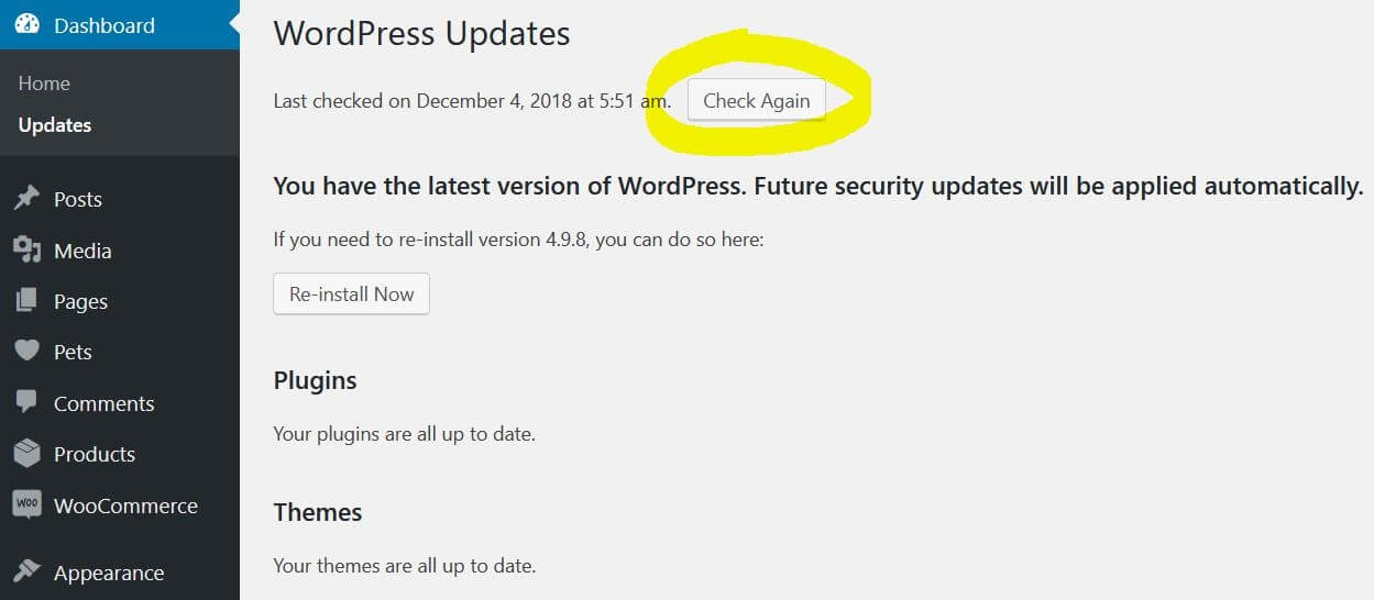Troubleshooting A Slow Loading Elementor Editor » Elementor