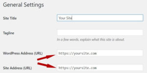 Custom Fonts Not Displaying On Front End » Elementor