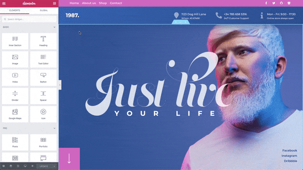 Global Website Editing Elementor