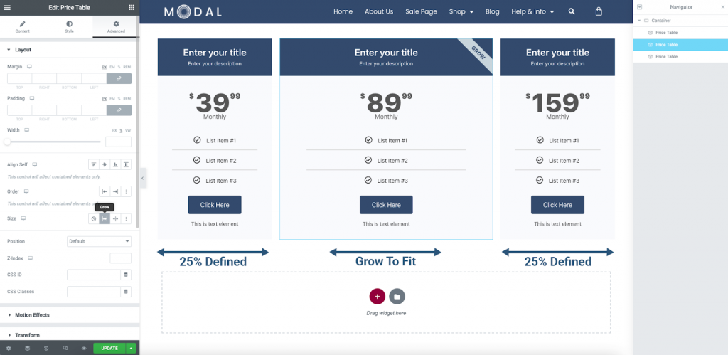 Advanced Widget Settings Size Elementor