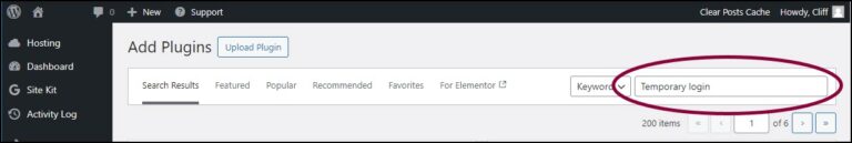 How do I issue temporary credentials to support? | Elementor