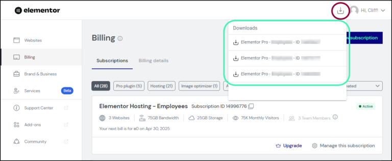 How To Install Elementor Pro: Full Guide | Elementor