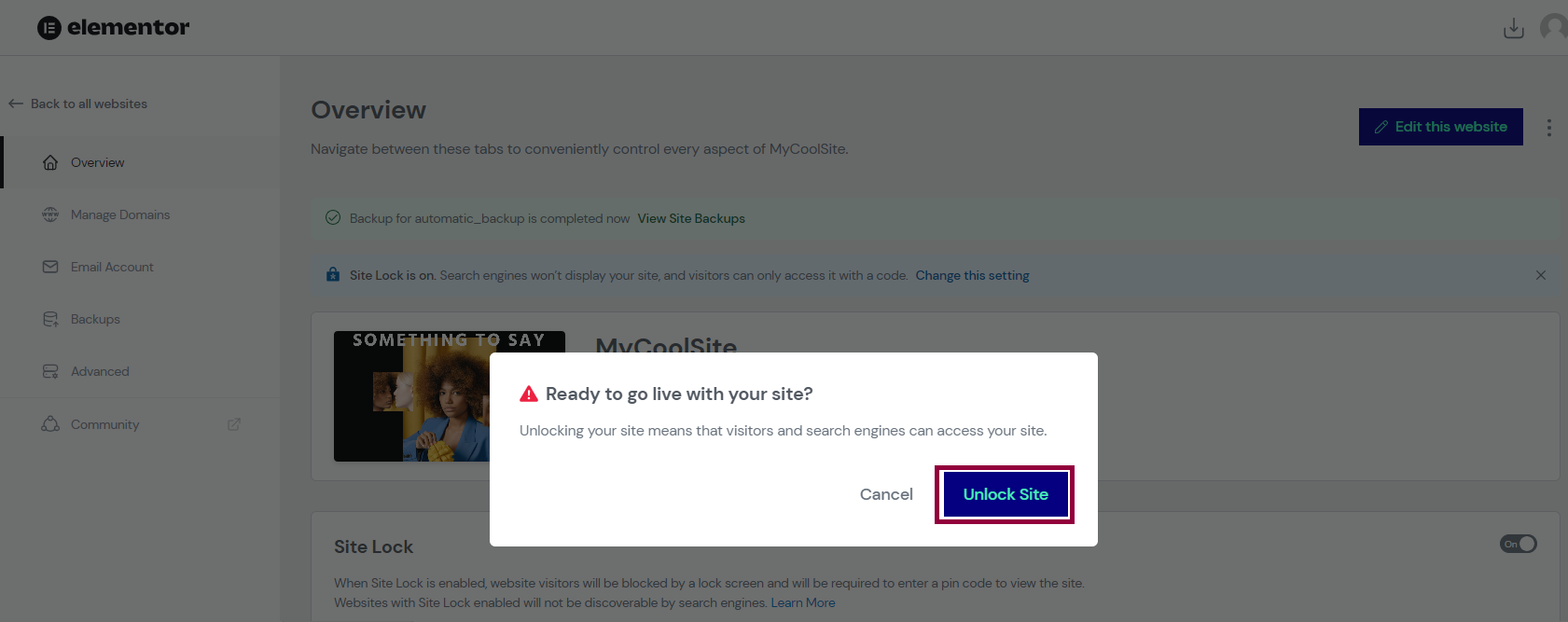 Taking Your Site Live » Elementor