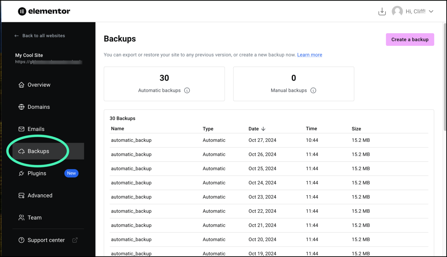 Manage Your Elementor Hosting Backups » Elementor