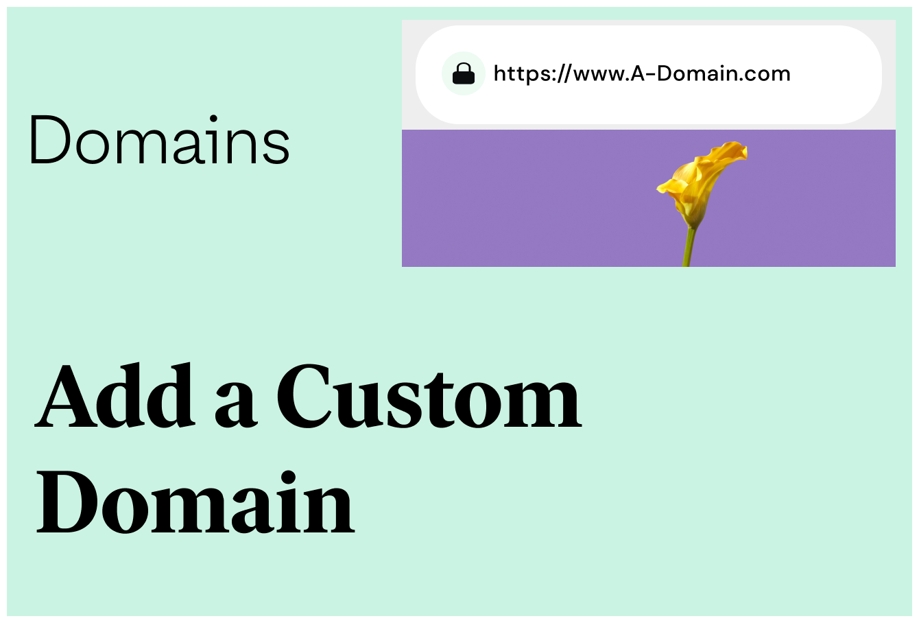 Connect a custom domain | Elementor