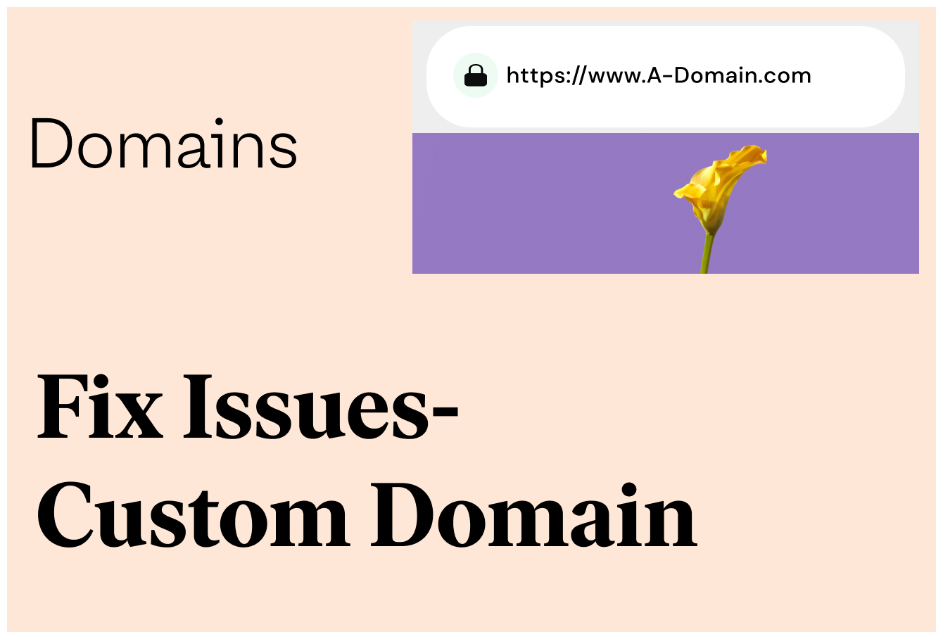 Fix issues with connecting a custom domain to Elementor Host | Elementor