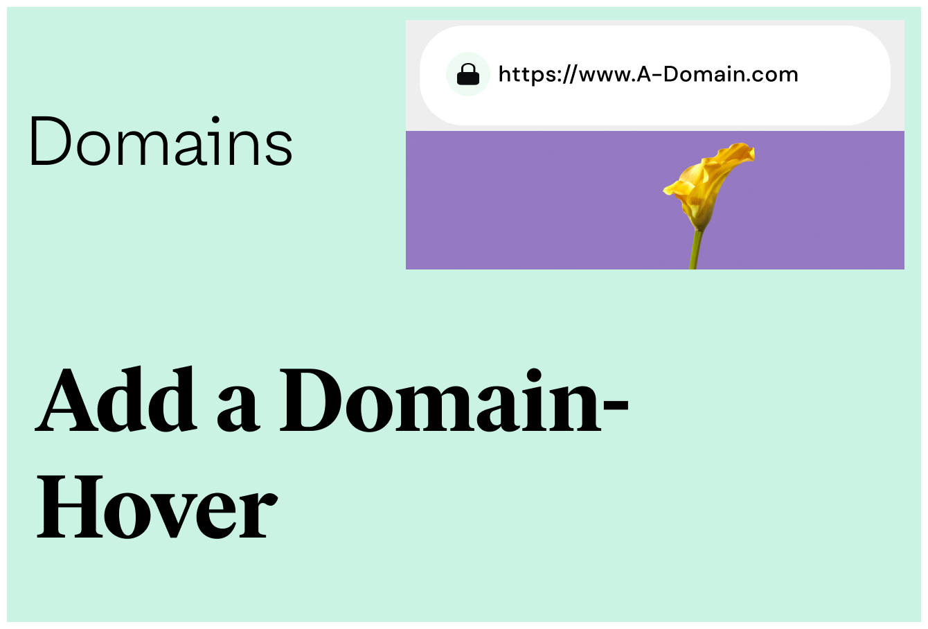 Connect your Hover domain | Elementor