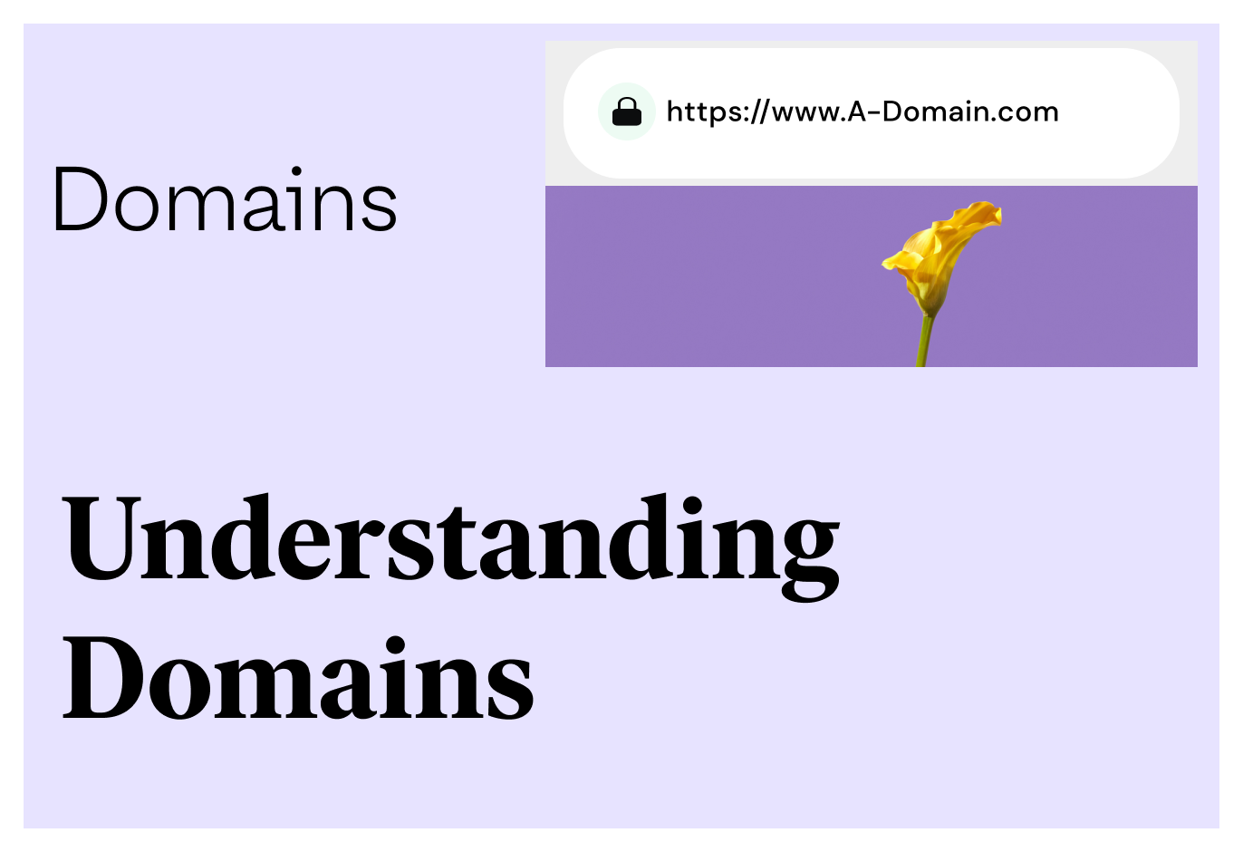 Understanding Domains | Elementor