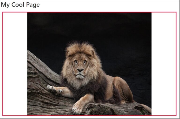 CSS Selectors In Elementor » Elementor
