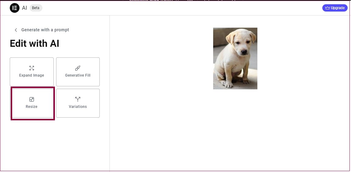 Fine Tune Your Images » Elementor