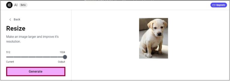 Fine tune your images | Elementor