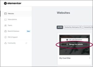 Access WP Admin | Elementor