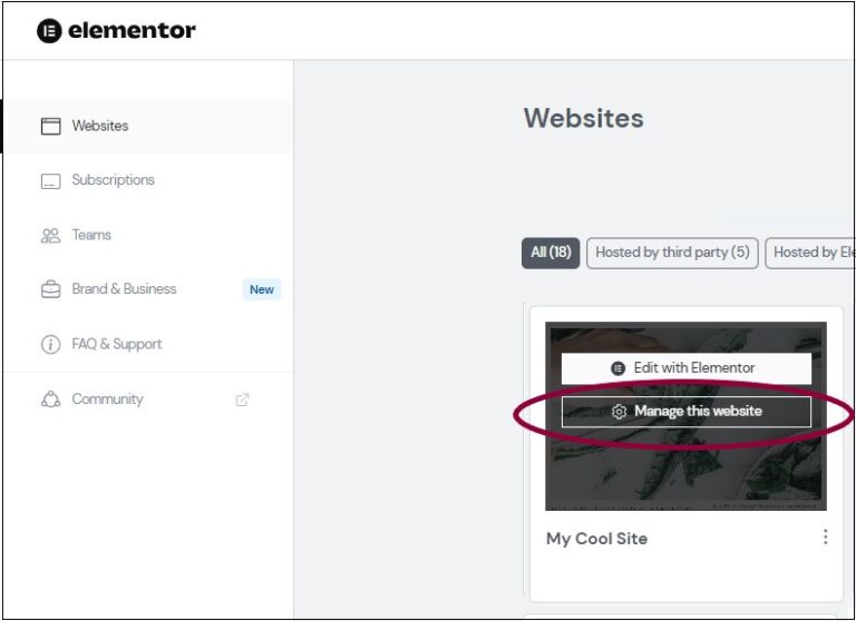 Access WP Admin | Elementor