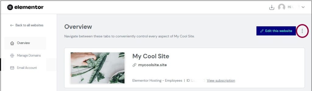 Access WP Admin | Elementor
