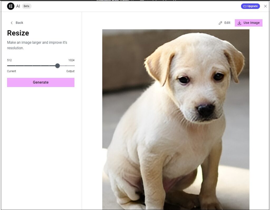 Fine tune your images | Elementor