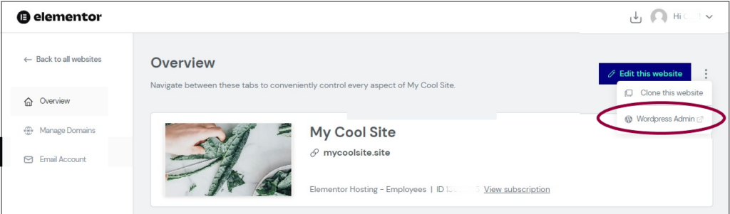 Access WP Admin | Elementor
