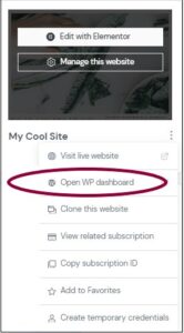 Access WP Admin | Elementor