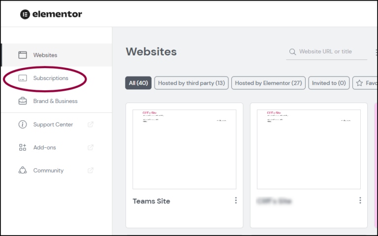 Add Team Members To Your Subscription » Elementor