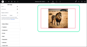 CSS selectors in Elementor | Elementor
