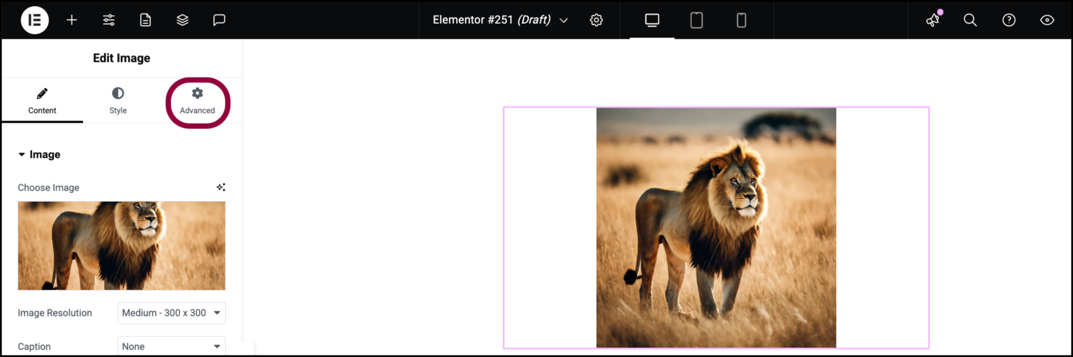 CSS selectors in Elementor | Elementor