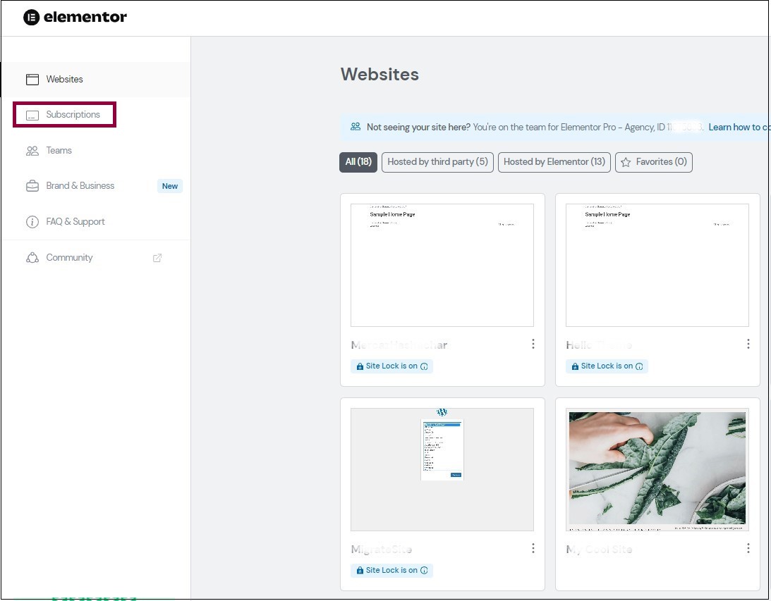 Find Your Subscription ID » Elementor