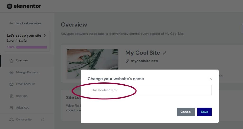 Change your Elementor Host website name | Elementor