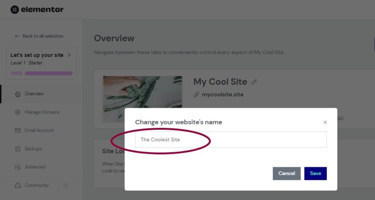 Change your Elementor Host website name | Elementor