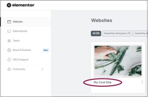 Change your Elementor Host website name | Elementor