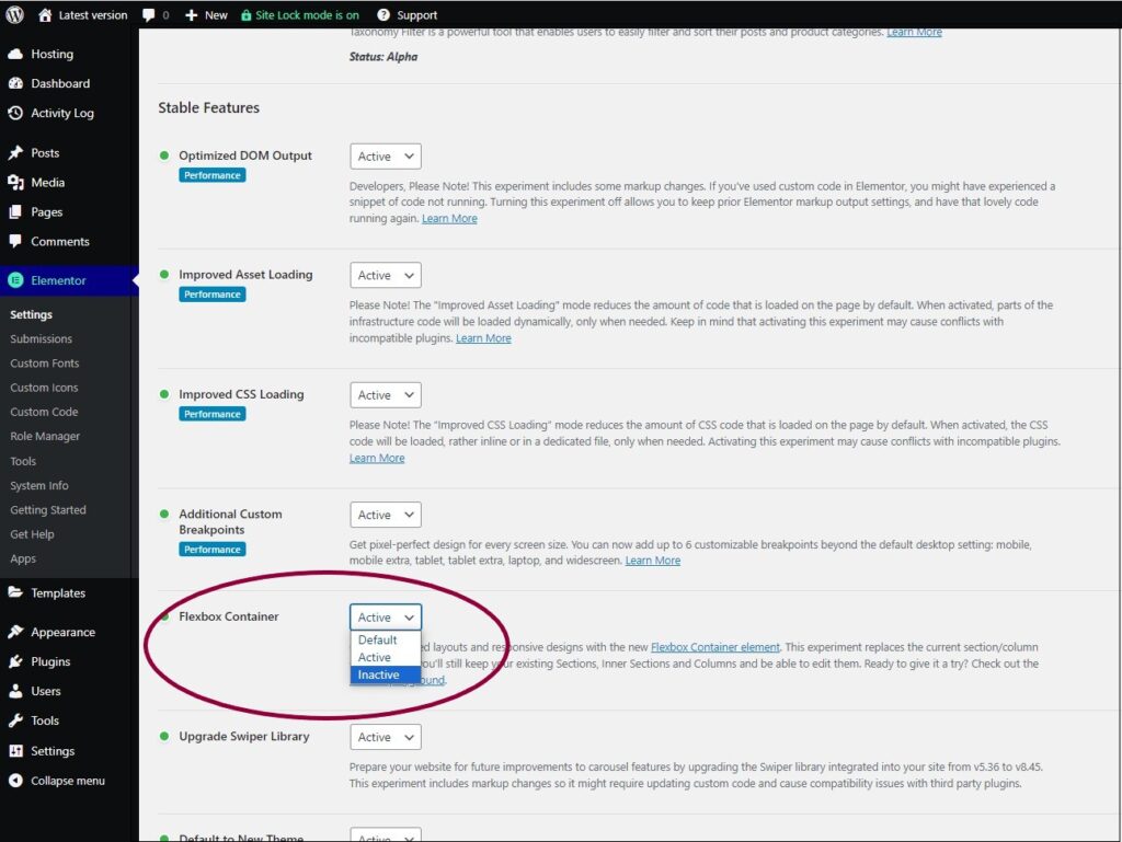 Deactivate Containers » Elementor