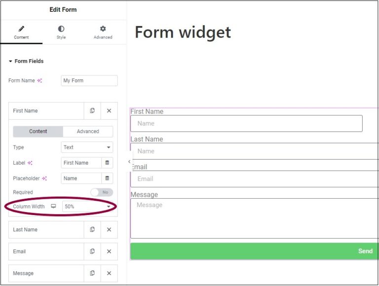 Form Widget Elementor