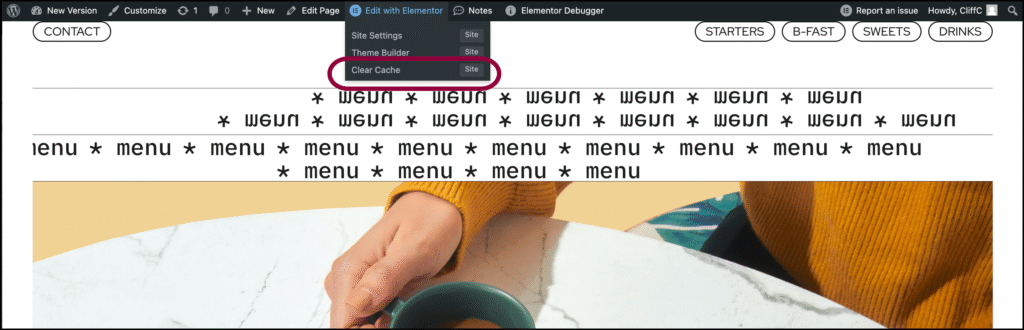 Clear Files & Data | Elementor
