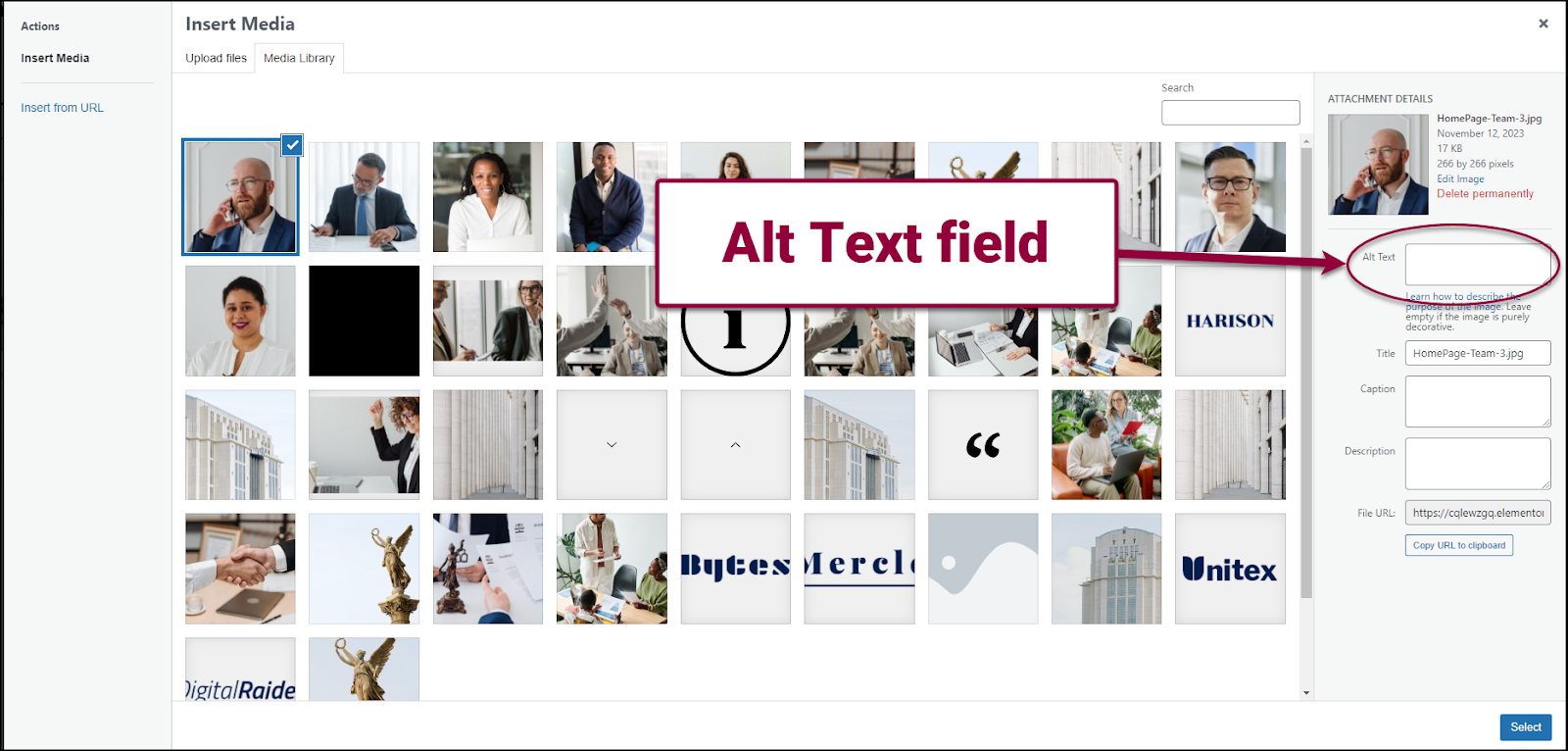 Make your website accessible | Elementor