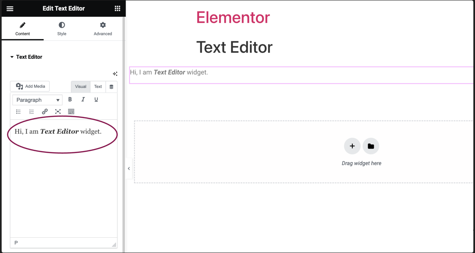 How to Use the Text Editor Widget | Elementor.com