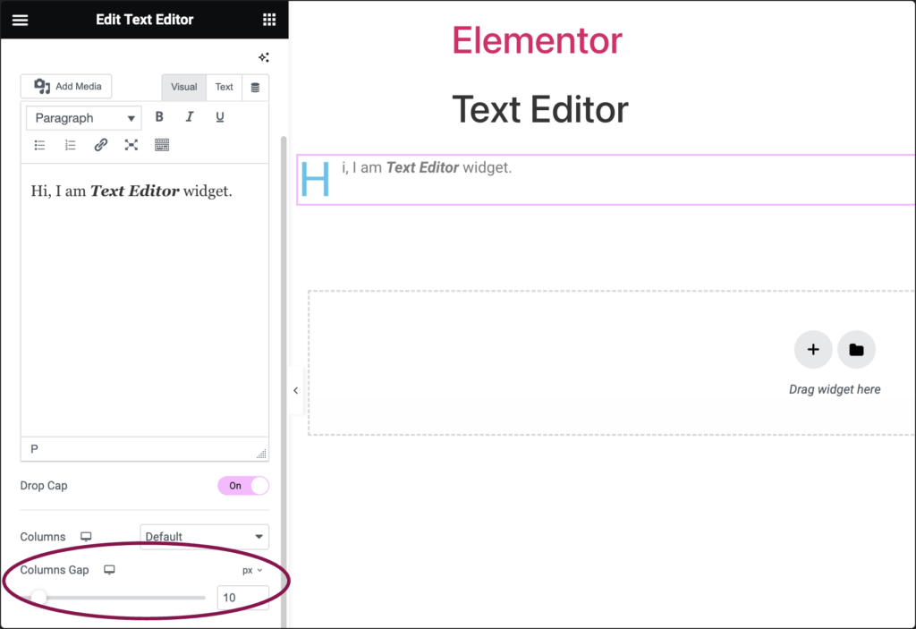 How to Use the Text Editor Widget | Elementor.com