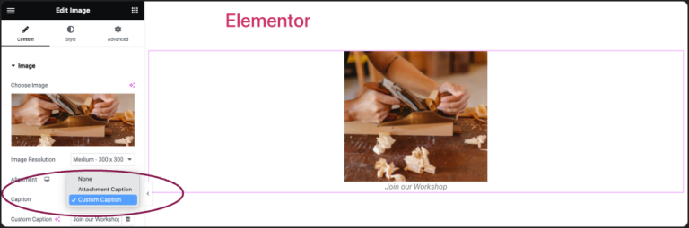 How to Use The Elementor Image Widget | Elementor