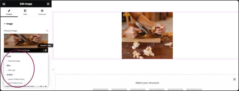 How to Use The Elementor Image Widget | Elementor