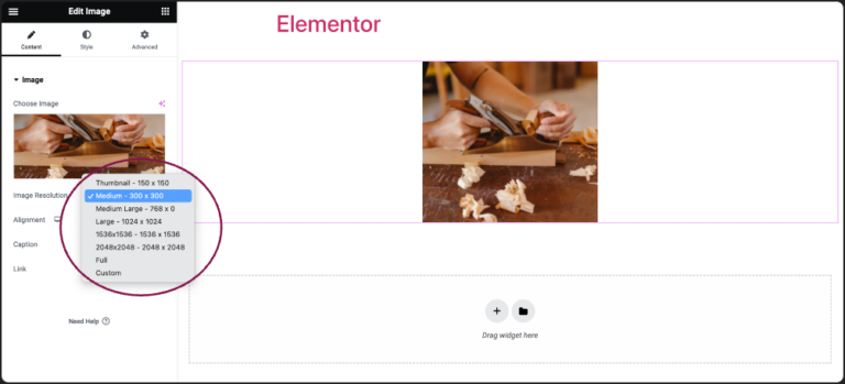 How to Use The Elementor Image Widget | Elementor