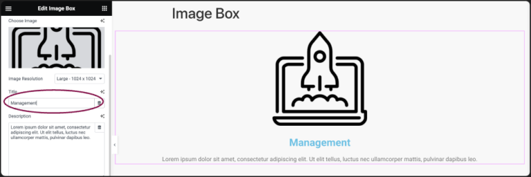 Image Box widget | Elementor