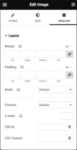 How to Use The Elementor Image Widget | Elementor