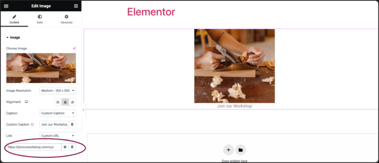 How to Use The Elementor Image Widget | Elementor