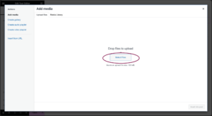 Create a PDF download button | Elementor