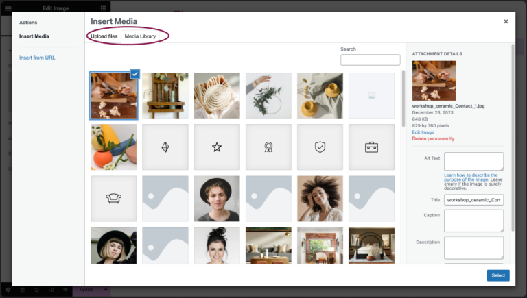 How to Use The Elementor Image Widget | Elementor