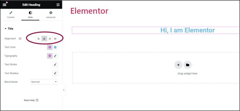 How to Use the Elementor Heading Widget | Elementor