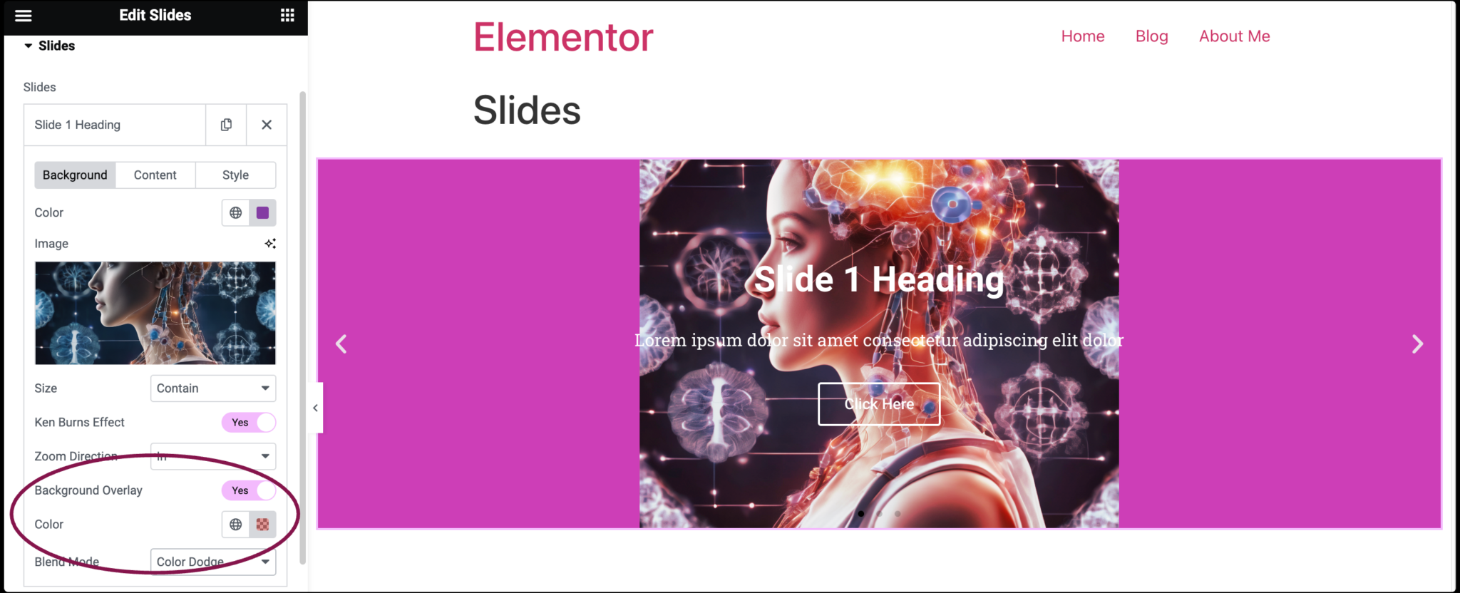 How To Use the Elementor Slides widget | Elementor