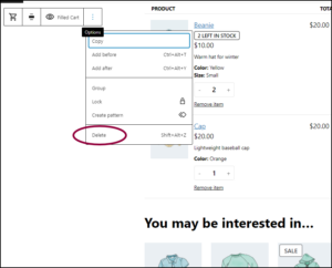 Error message when using the WooCommerce block | Elementor