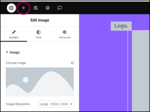 Add text over image in Elementor | Elementor