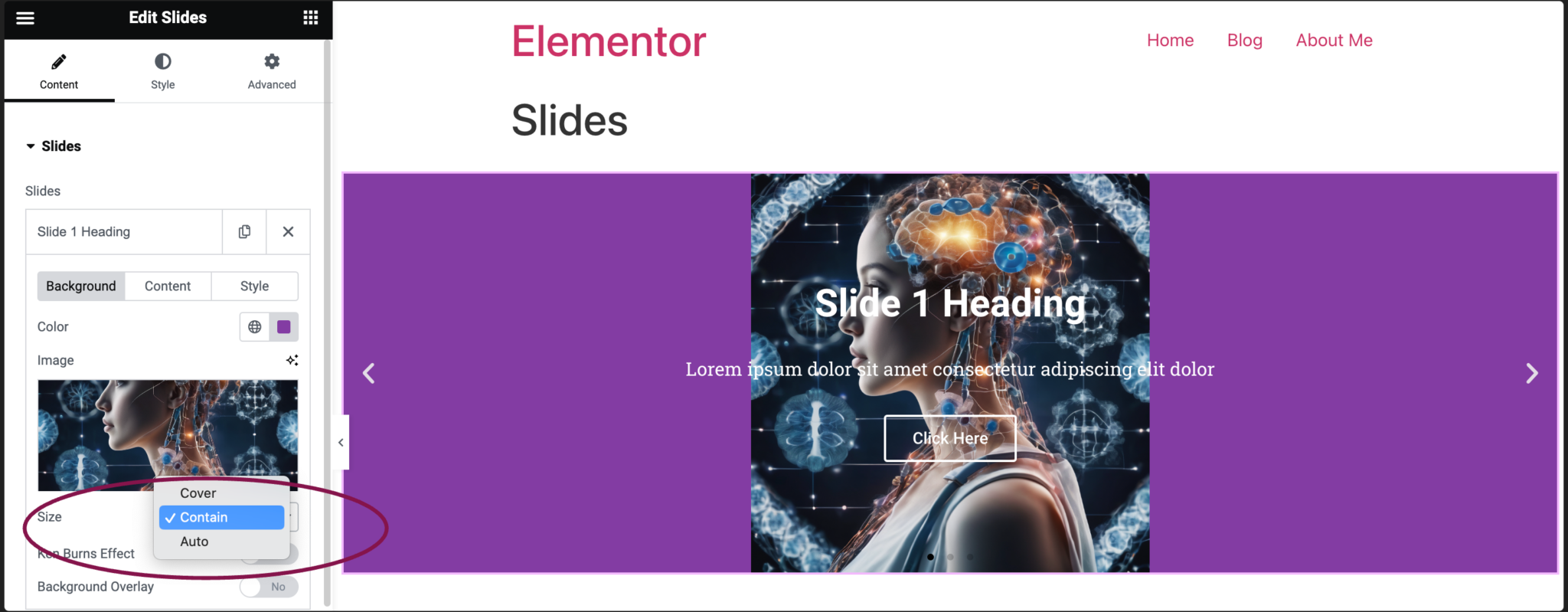 How To Use the Elementor Slides widget | Elementor