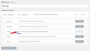 Custom fonts not displaying on live site | Elementor