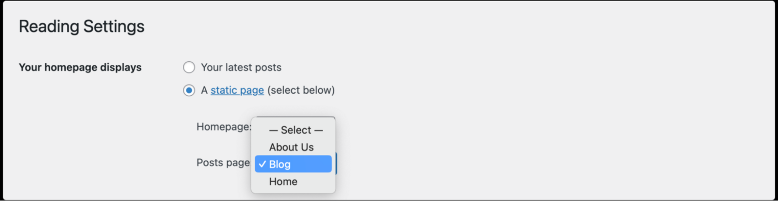 Read More widget | Elementor